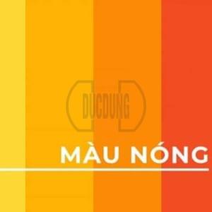 Tone màu là gì? Những tone màu phổ biến hay áp dụng